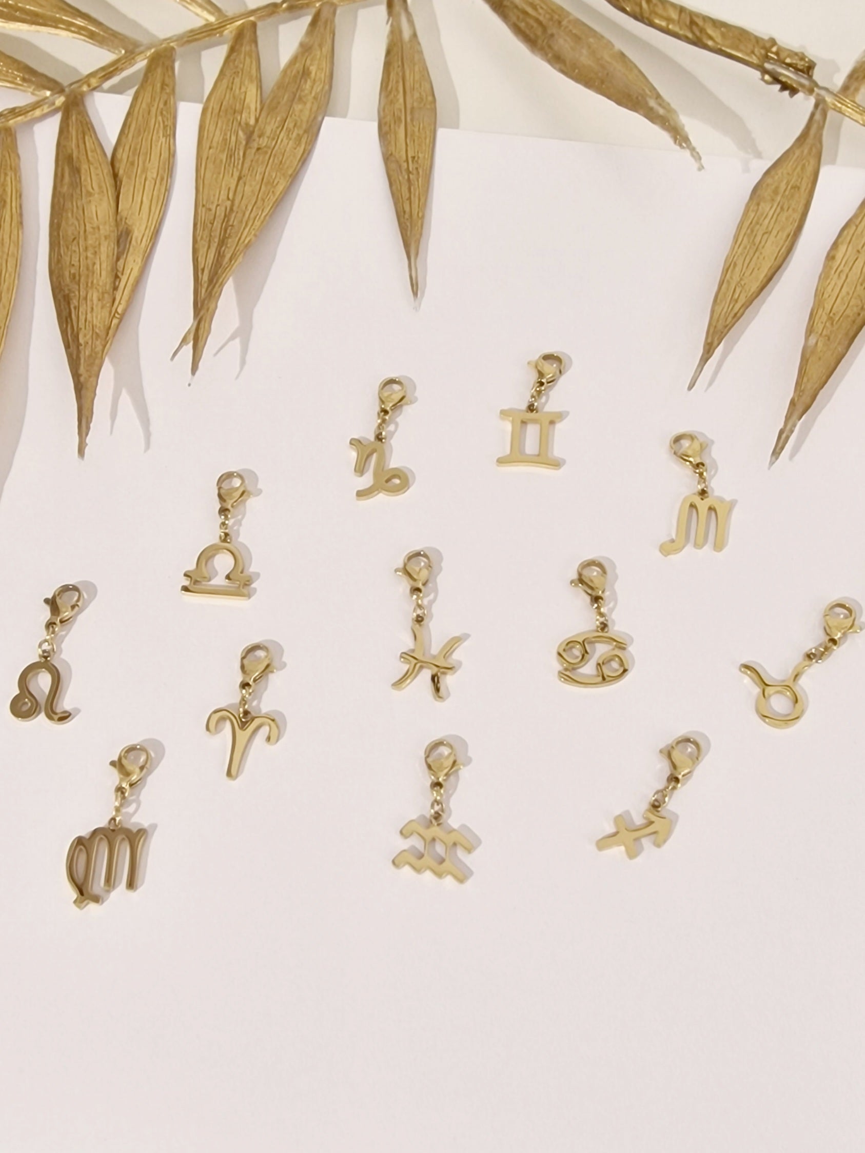 CHARM ASTRO ACIER OR – Collection SR